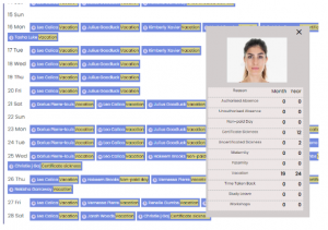 Vacation and sick days overview – Employee Attendance Tracking